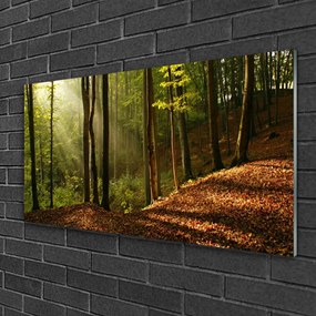 Obraz na skle Les Stromy Příroda 120x60 cm
