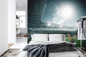 Fototapeta Fotbalový Stadion Omyvatelný vlies 368x254