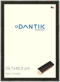 DANTIK rámeček 29,7x42 | Mosa tm.šedá (Plexi Čiré)