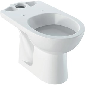 Geberit Selnova - WC kombi mísa, zadní odpad, 670x360 mm, bílá 500.282.01.1