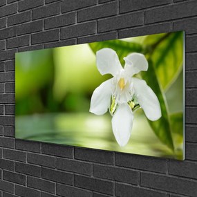Obraz na skle Květ Listy 120x60 cm