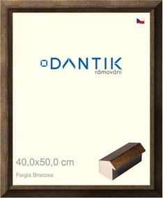 DANTIK rámeček 40x50 | Forgia Bronzea (Plexi Čiré)