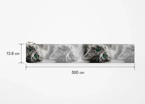 Samolepící bordura na zeď Kočka | 5 m x 13.8 cm | DWB8217