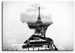 Obraz silueta v Paříži Velikost (šířka x výška): 120x80 cm