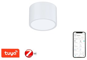 Immax NEO RONDATE Smart stropní svítidlo 15cm 12W bílé Zigbee 3.0