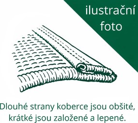 Sintelon, Kusový koberec Teheran Practica 59/DMD, 120x170, hnědá, chodba / předsíň