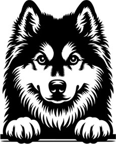 Samolepka pes Sibiřský husky