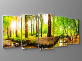 Liox Obraz lesní potok Rozměr: 250 x 110 cm