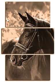 Obraz na plátně - Černý kůň - obdélník 7220FC (120x80 cm)