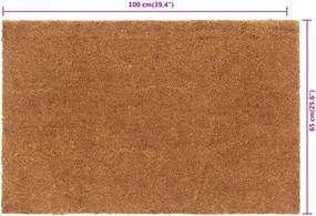 Rohožka před dveře přírodní 65 x 100 cm kokosové vlákno 155565