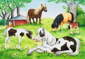 Ravensburger Svět koní / 2x24 dílků / od 4 let