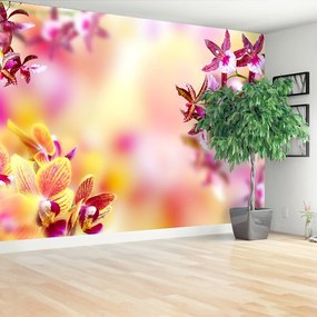 Fototapeta Růžová orchidej 104x70