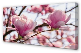 Obrazy na plátně magnolie strom 120x60 cm