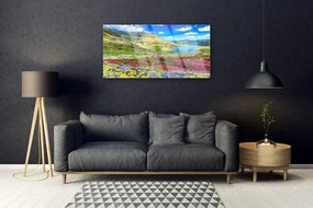 Obraz na skle Hora Záliv Louka Příroda 120x60 cm