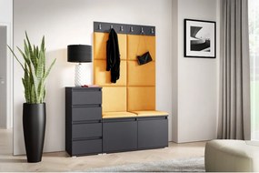 Eka Předsíňová stěna s čalouněnými panely Trinity 34 - Grafit / Hořčicová 2326