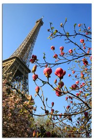Obraz na plátně - Eiffelova věž v jarním období - obdélník 734A (75x50 cm)
