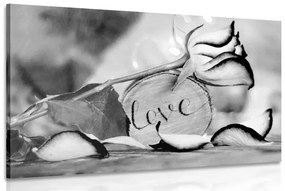 Obraz romantické vyznání v černobílém provedení Love Varianta: 60x40