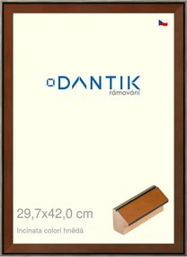 DANTIK rámeček 29,7x42 | INCLINATA colori hnědá (Plexi Čiré)