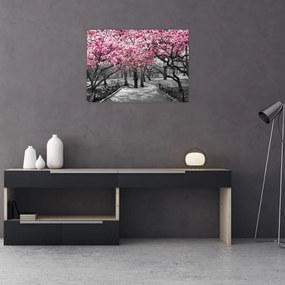 Skleněný obraz stromů Magnolíie (70x50 cm)