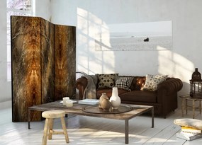 Pokojová zástěna Mramorová sopka - luxusní textura mramoru s bronzovým akcentem