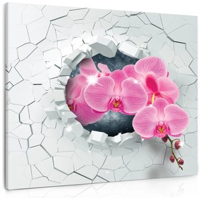 Malvis ® Obraz - orchidej Velikost (šířka x výška): 80x80 cm