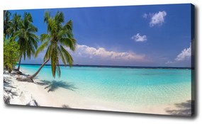 Wallmuralia Foto obraz na plátně do obýváku Panorama pláže 100x50