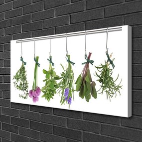 Obraz na plátně Plátky Rostlina Kuchyně 100x50 cm