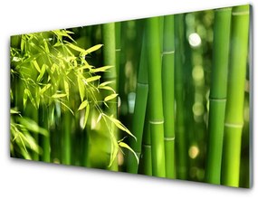 Obraz na skle Bambus Listy Rostlina 120x60 cm