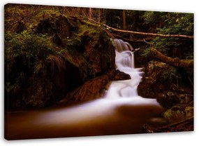 Obraz na plátně Horský potok Forest - 100x70 cm
