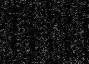 Koberce Breno Čistící zóna CAPRI 07, šíře role 100 cm, Černá, Vícebarevné