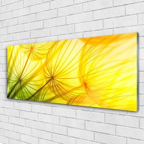 Plexisklo-obraz Pampelišky Květiny Příroda 125x50 cm