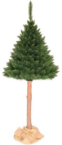 Krásný vánoční stromeček borovice s kmenem 220 cm