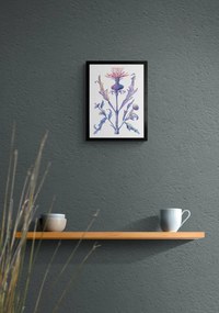 Filip Šenkeřík | Centaurea Rám: Černý, Velikost: 40 x 30 cm