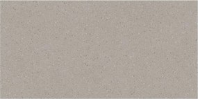 RAKO Compila - Obklad 30x60 cm, taupe, šedobéžová WADVK867