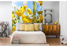 DIMEX | Vliesová fototapeta na zeď Žluté květiny MS-3-0134 | 225 x 250 cm | žlutá, zelená, modrá