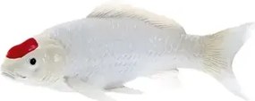 Mojo Kapr koi tancho / od 3 let