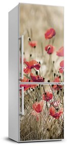 Wallmuralia Samolepící nálepka fototapeta Polní květiny 60x180 cm