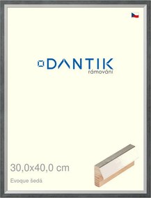 DANTIK rámeček 30x40 | EVOQUE šedá (Plexi Čiré)