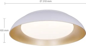 Brilagi -LED Stmívatelné svítidlo ALVA LED/48W/230V 3000-6500K pr. 51 cm bílá+DO