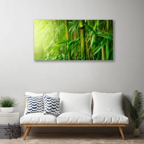 Obraz na plátně Bambus Stonky Rostlina 100x50 cm