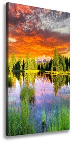 Wallmuralia Vertikální Foto obraz na plátně Jezero v lese 50x100