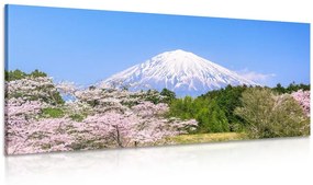 Obraz hora Fuji Varianta: 120x60
