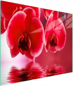 Skleněná Krájecí Deska 52x30 Orchidej Tvrzené Sklo