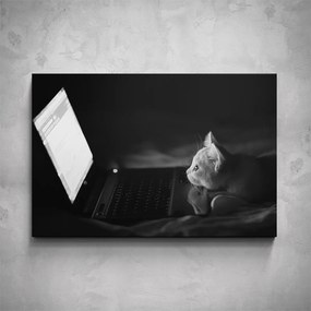 Obraz - Kotě s notebookem - PopyDesign