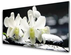Obraz na skle Kameny Květiny Orchidej 120x60 cm