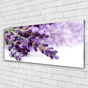 Plexisklo-obraz Květiny Příroda Rostlina 125x50 cm