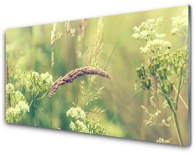 Obraz na skle Divoké Rostliny Příroda 120x60 cm