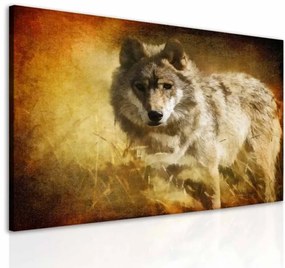 Malvis ® Obraz snový vlk Velikost (šířka x výška): 100x80 cm