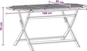 Skládací zahradní stůl 160x85x75 cm masivní eukalyptové dřevo 312454