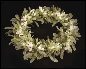 EMOS LED vánoční věnec jmelí 35cm DCTW28